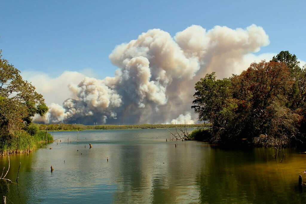 22 Best Things To Do In Bastrop, Texas | Trip101