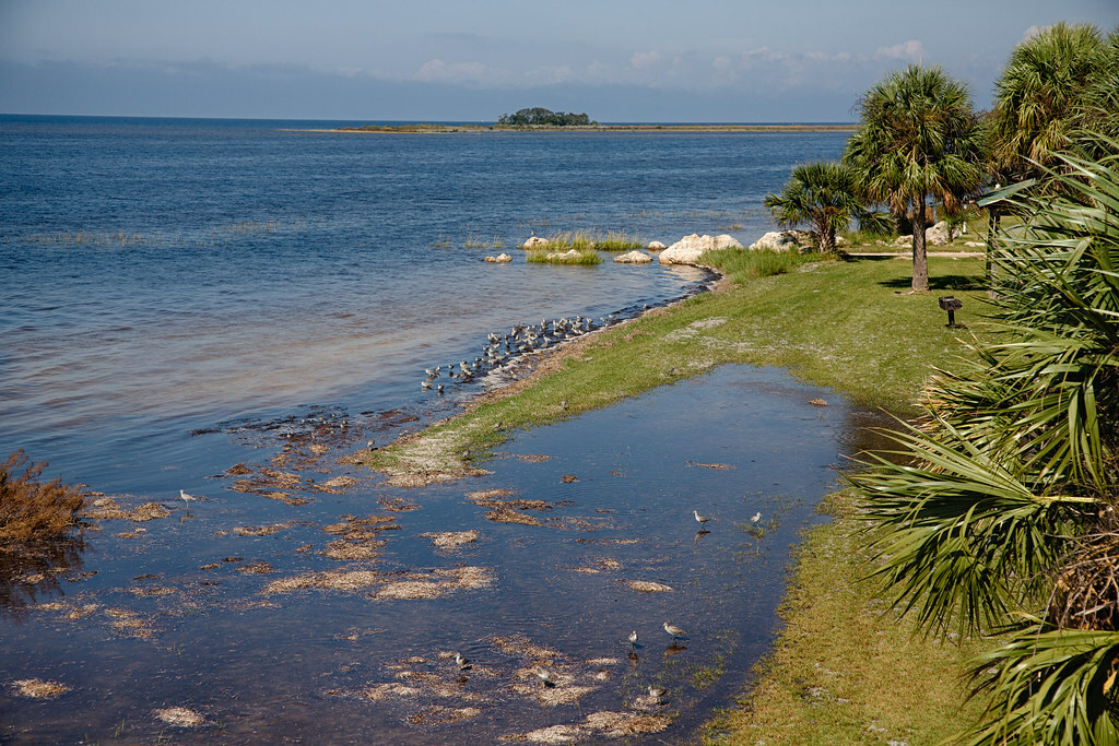 15 Best Things To Do In Perry, Florida | Trip101