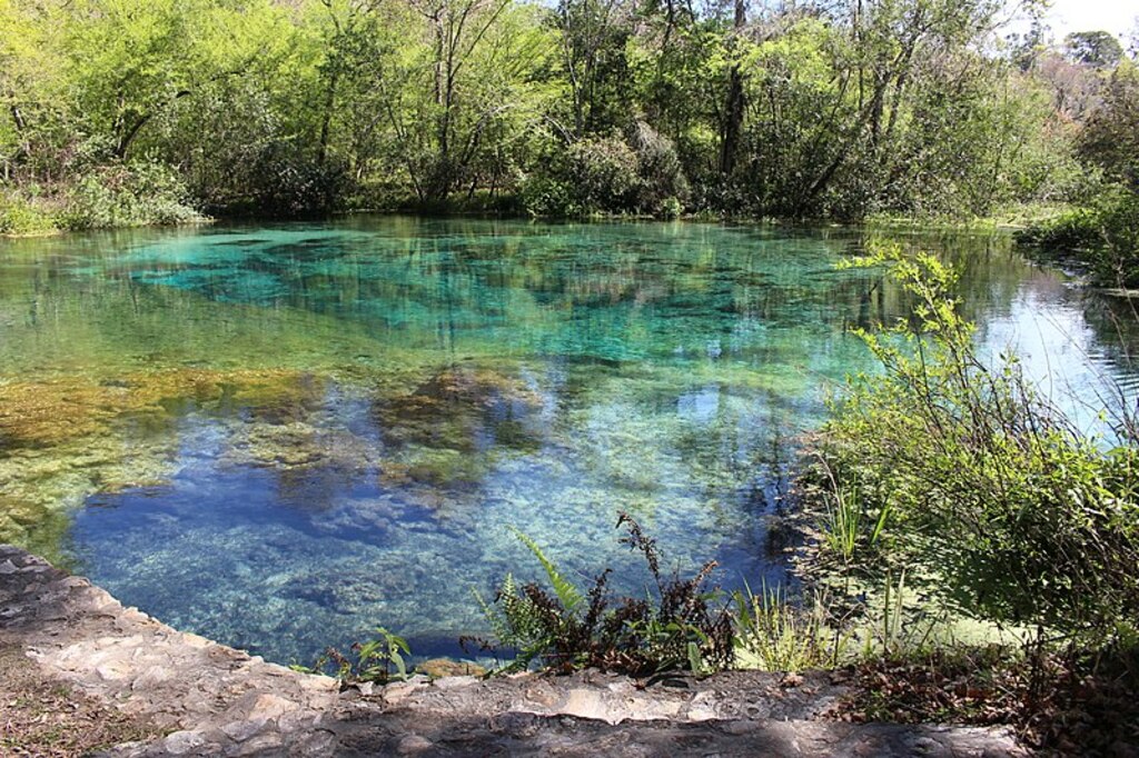 15 Best Things To Do In Perry, Florida | Trip101