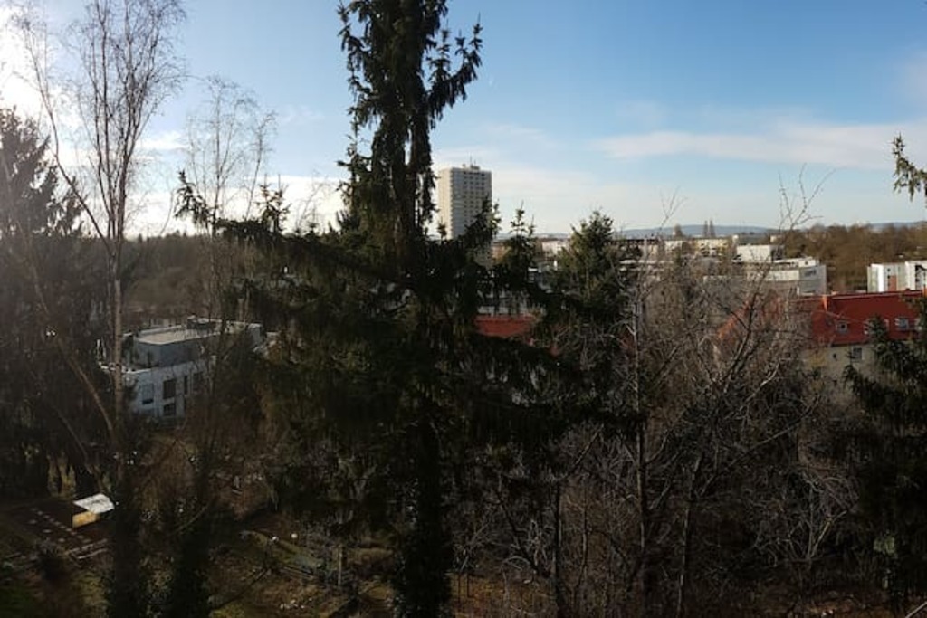 Top 16 Airbnb Vacation Rentals In Mainz, Germany - Updated | Trip101