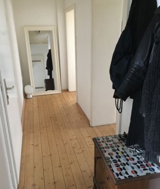 Top 16 Airbnb Vacation Rentals In Mainz, Germany - Updated | Trip101