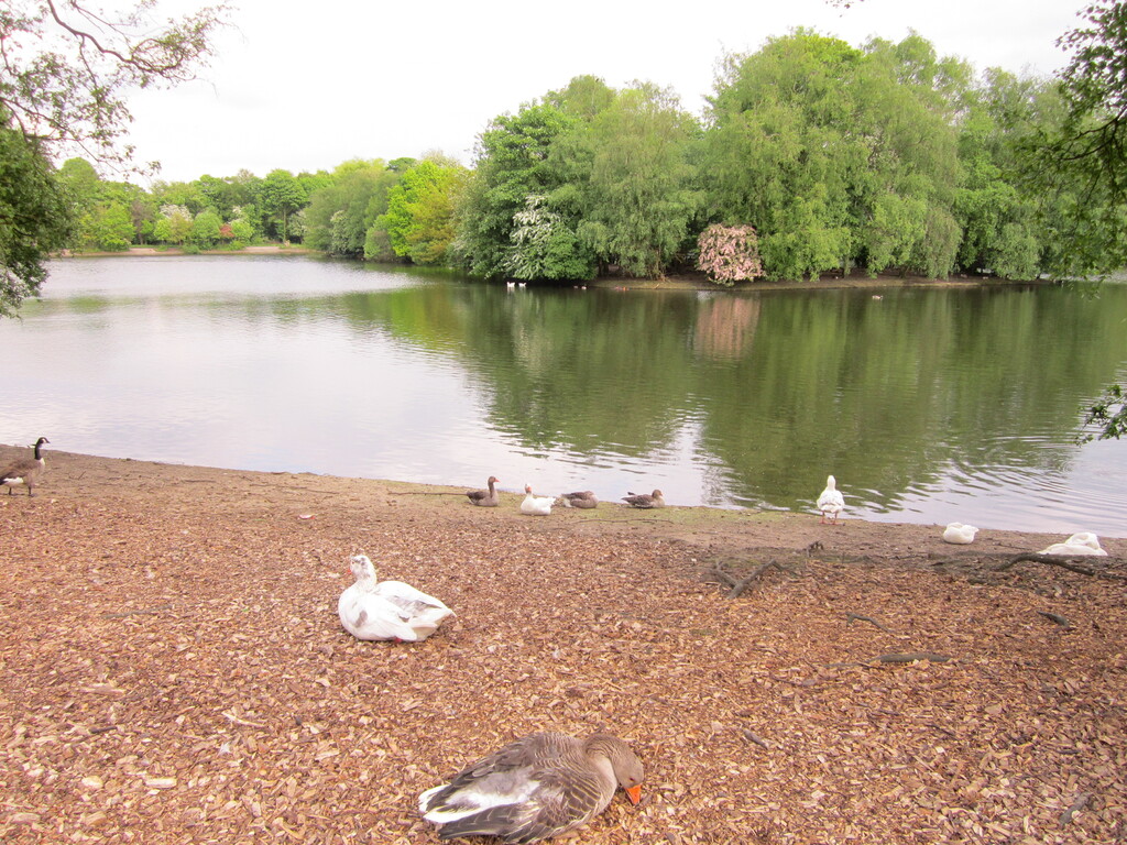 12 Best Things To Do In Bury, England | Trip101