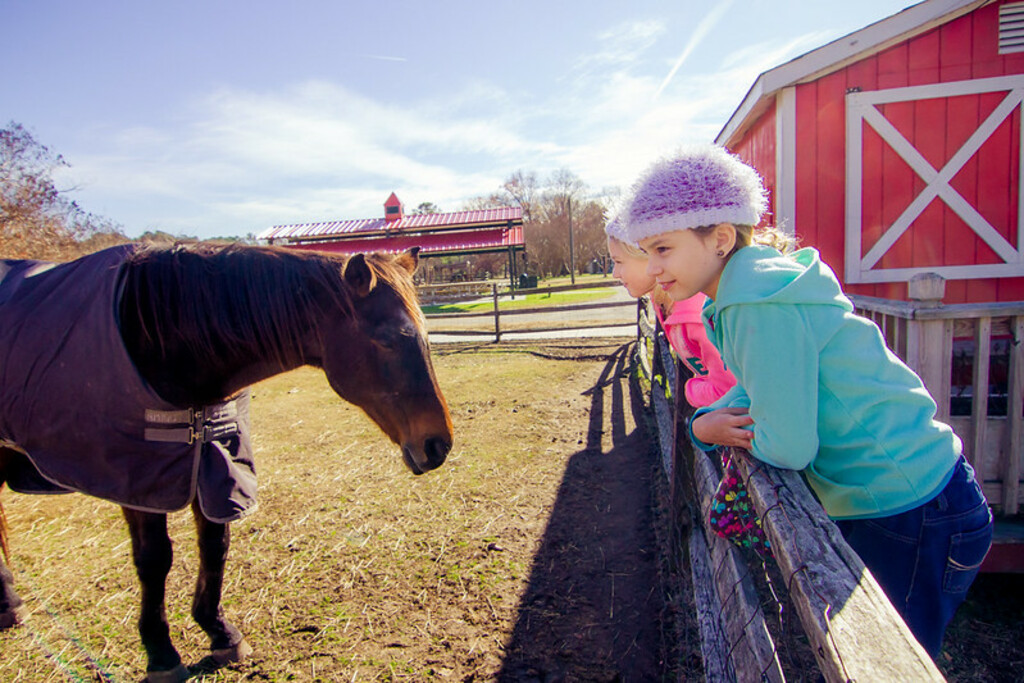 12 Best Things To Do In Hampton, Virginia | Trip101