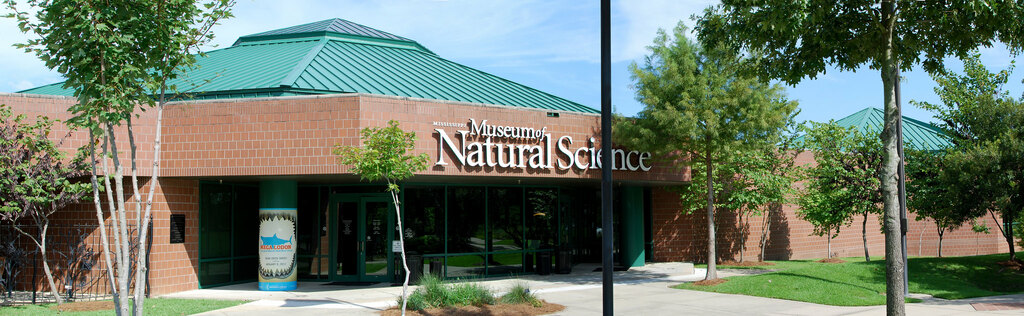 14 Handpicked Things To Do In Mississippi, USA | Trip101