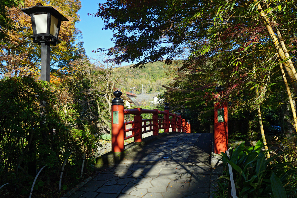 Top 10 Tourist Spots To Visit In Izu In Winter | Trip101