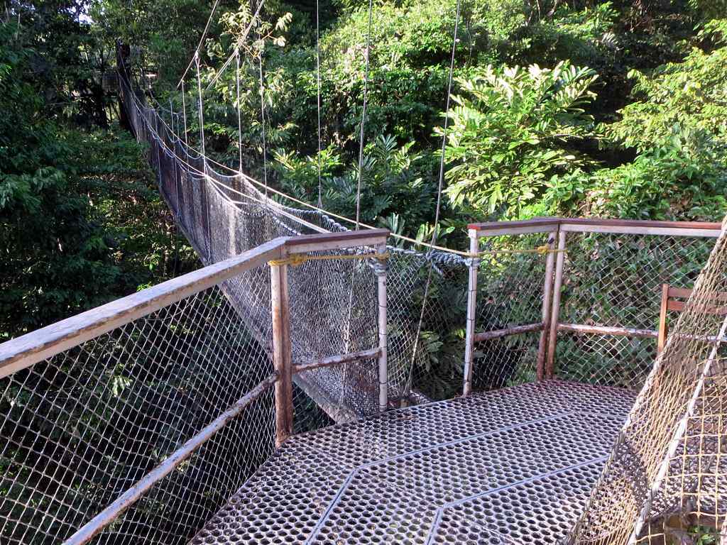 10 Best Forest Canopy Walkways In The World | Trip101