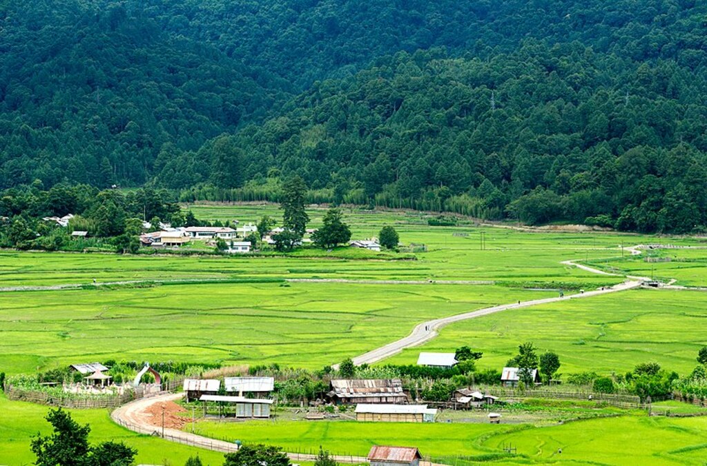 Ziro Festival Of Music: What To Expect And Where To Stay - Updated 2025 ...
