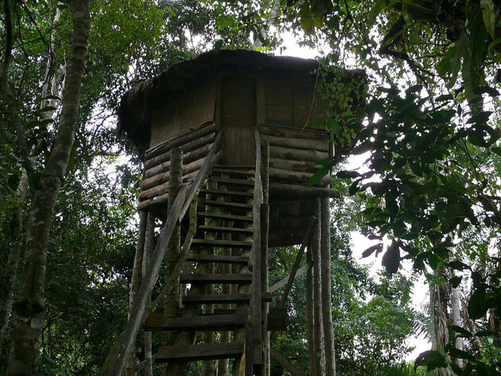 The Pearl Of Africa: 15 Things To Do In Uganda For Nature-Lovers | Trip101