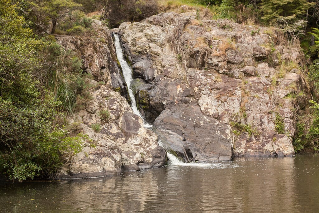 7 Of The Best Things To Do In Pukekohe, New Zealand | Trip101