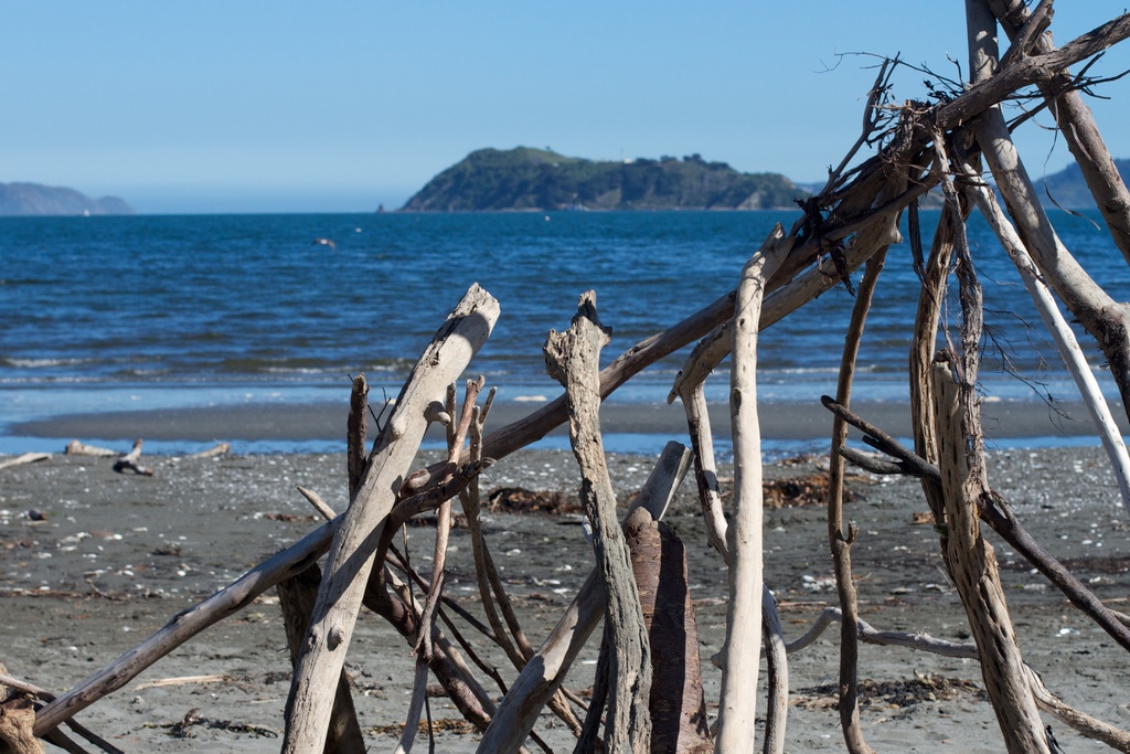 The 7 Best Things To Do In Petone, NZ | Trip101