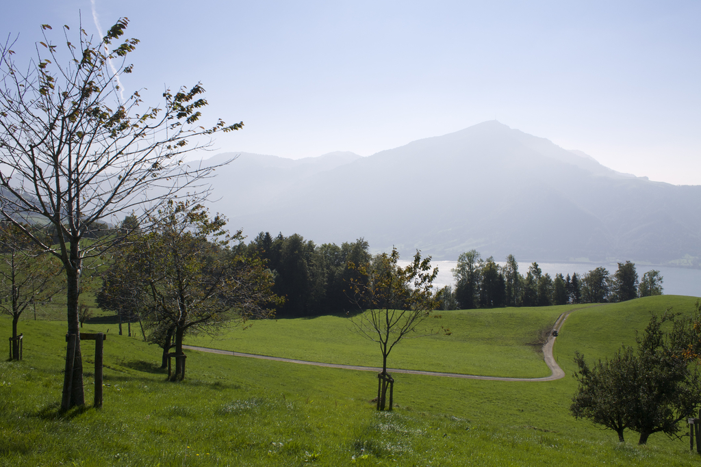 10 Best Things To Do In Zug, Switzerland | Trip101