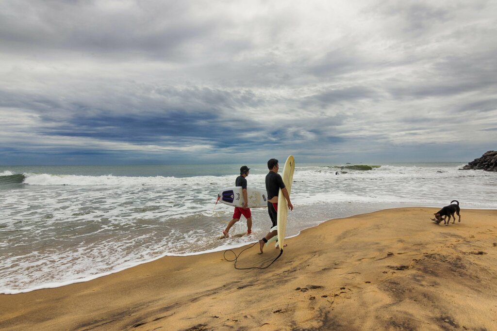 15 Most Fun & Amazing Things To Do In Varkala, India | Trip101