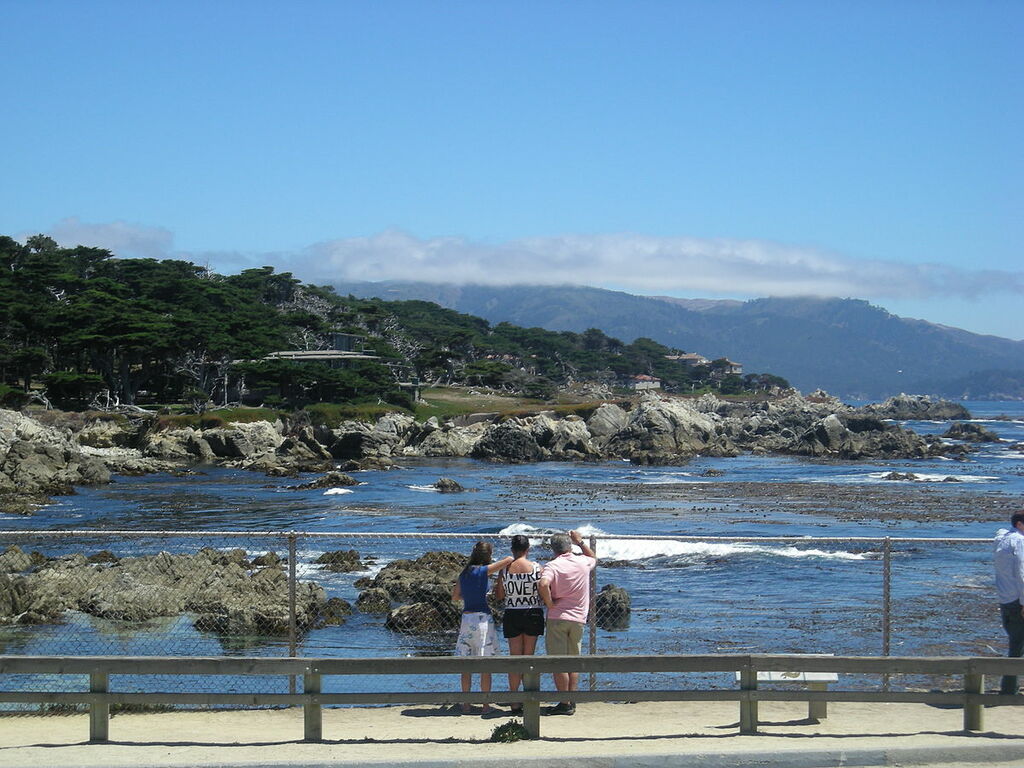8 Best Things To Do In Pacific Grove, California - Updated 2025 | Trip101