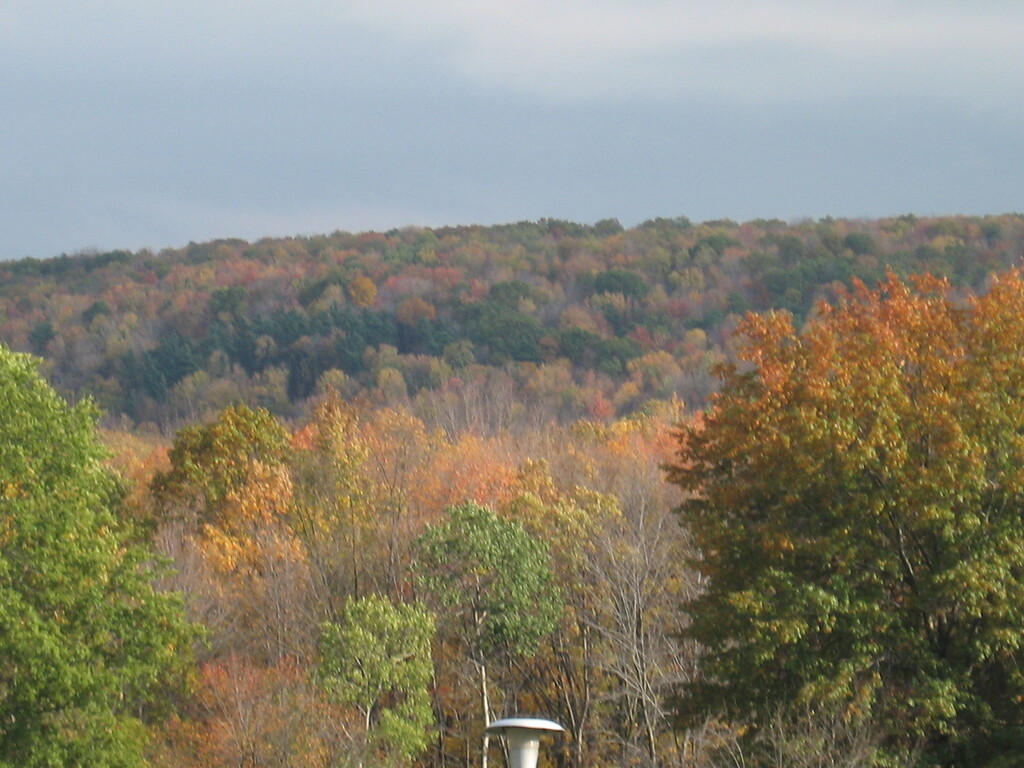 10 Best Things To Do In Vestal, New York | Trip101