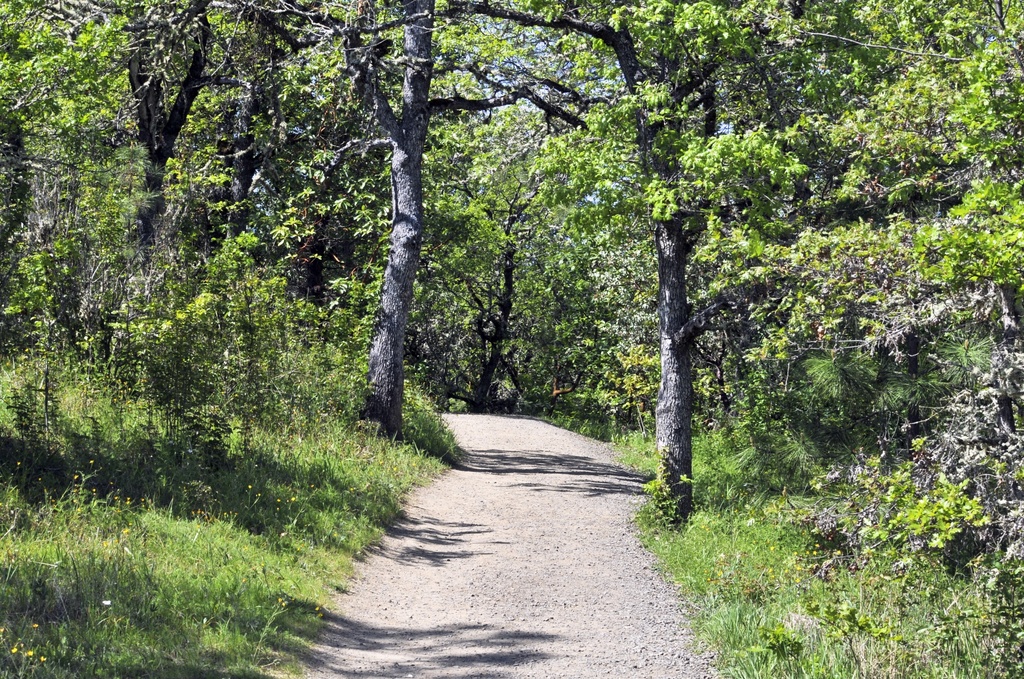 8 Best Things To Do In Warrenville, Illinois | Trip101