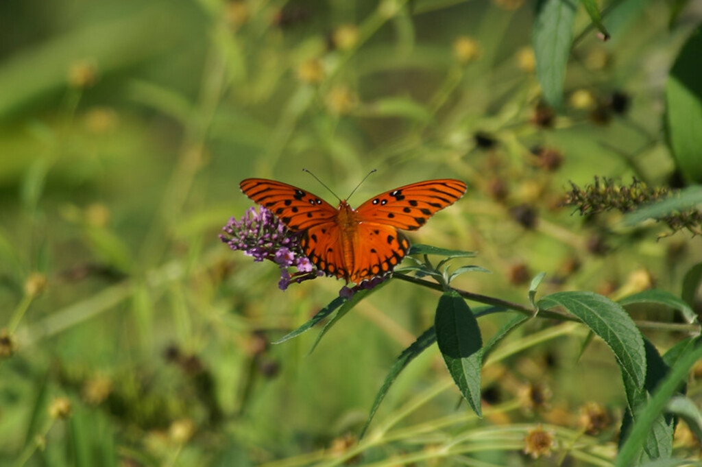 10 Things To Do In And Around Clover, South Carolina | Trip101