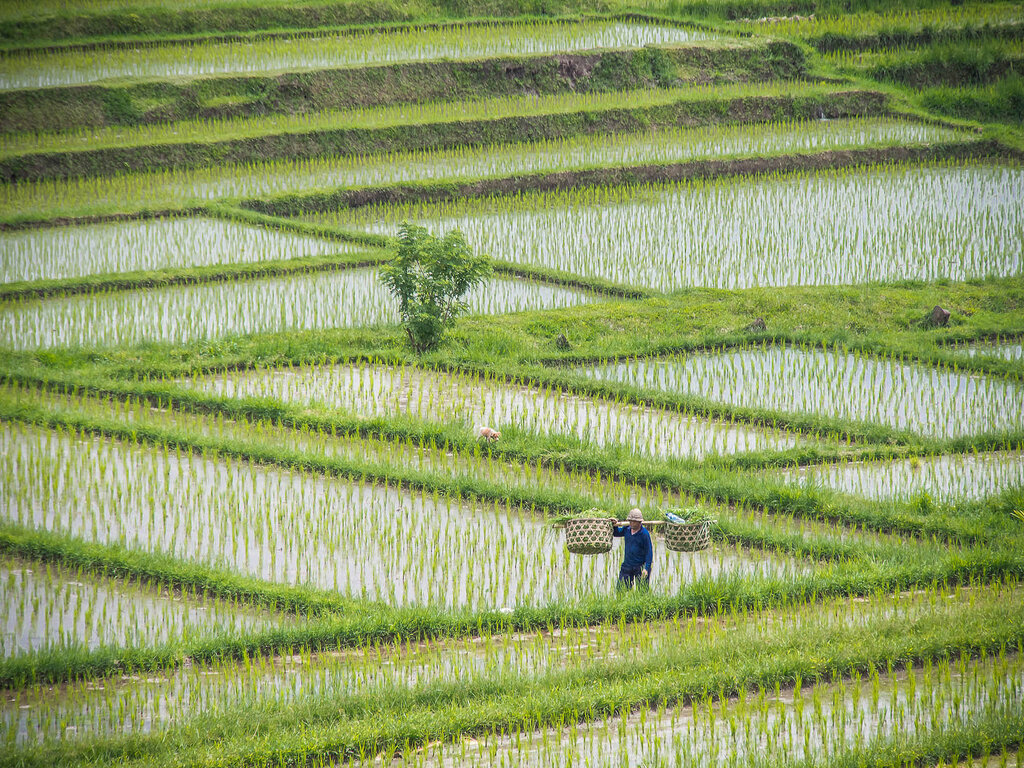 8 Things To Do In Tabanan: Best Of Bali's Nature In Indonesia | Trip101