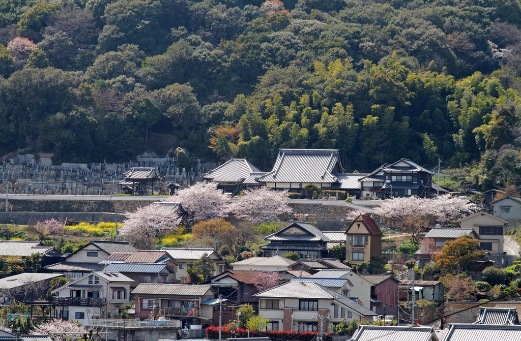 Anime Locations Tour Around Japan | Trip101