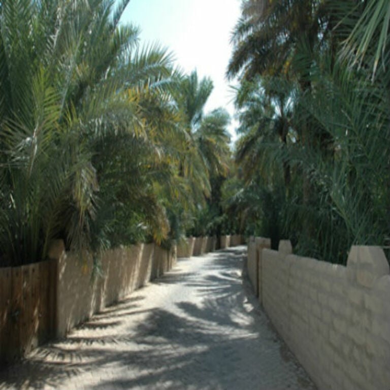 9 Things To Do In & Around Buraimi, Oman | Trip101