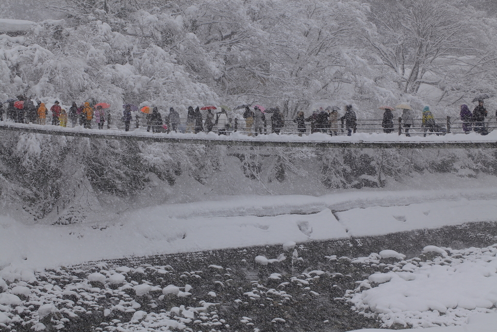 What you can see in Shirakawa-Go Village, Gifu Takanayama, Japan | Trip101