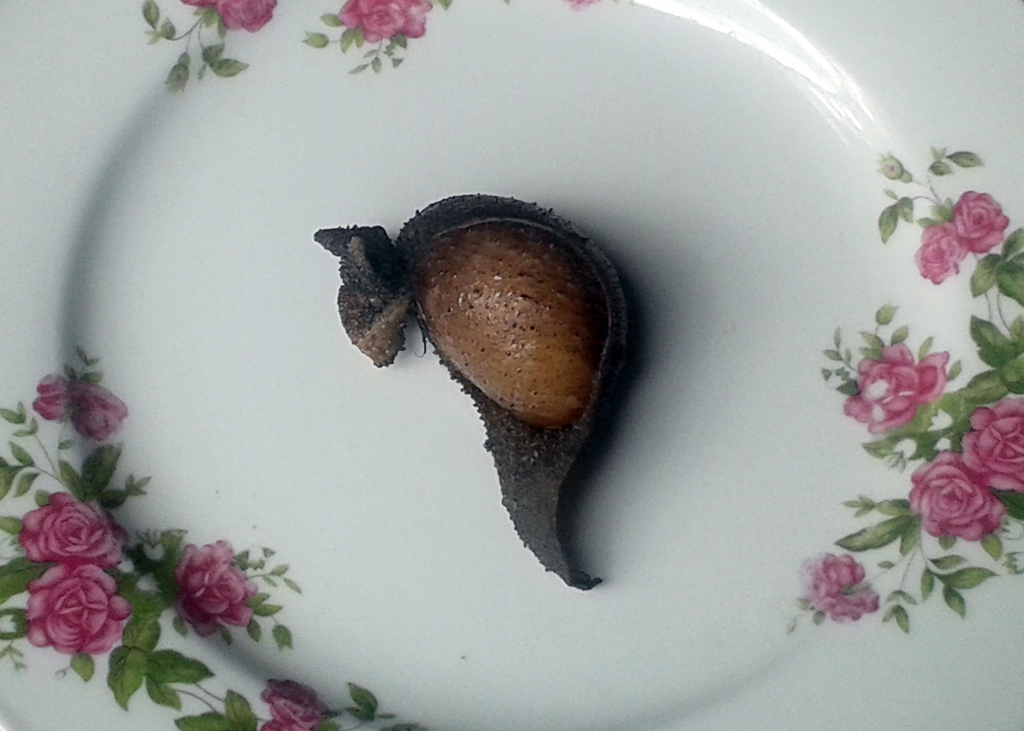 10 Traditional Food In Nepal To Try | Trip101