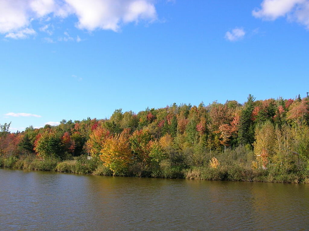 Nos 10 conseils pour savoir quoi faire à Moncton, Canada | Trip101