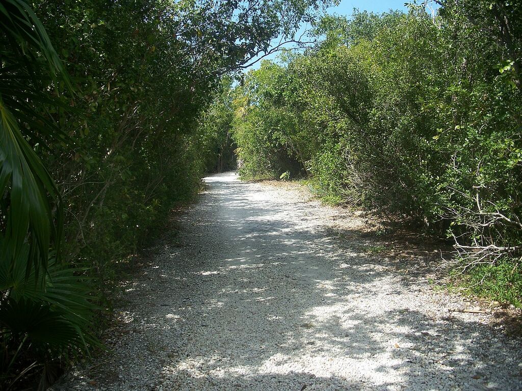 Une grande évasion: 10 meilleures choses à faire à Marathon, en Floride ...