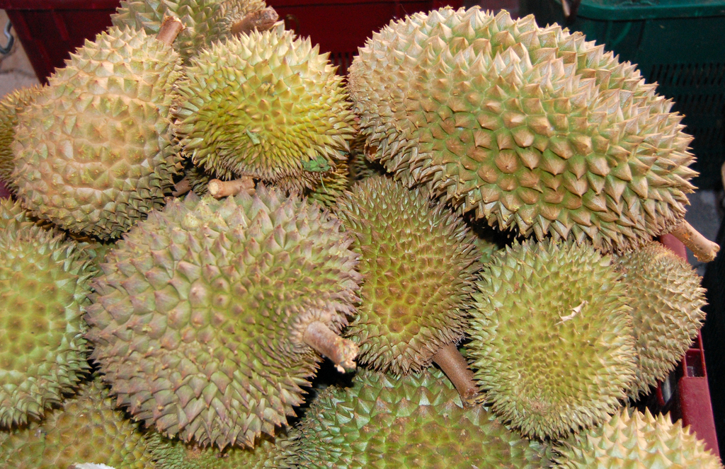 Ne venez pas que pour le Durian: Les 10 meilleurs restaurants de Davao ...