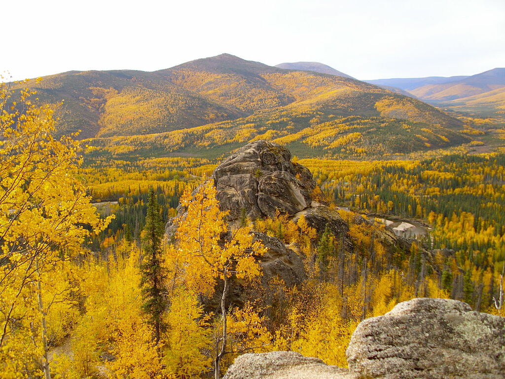 Top 26 Things To Do In Fairbanks, Alaska - Updated 2025 | Trip101