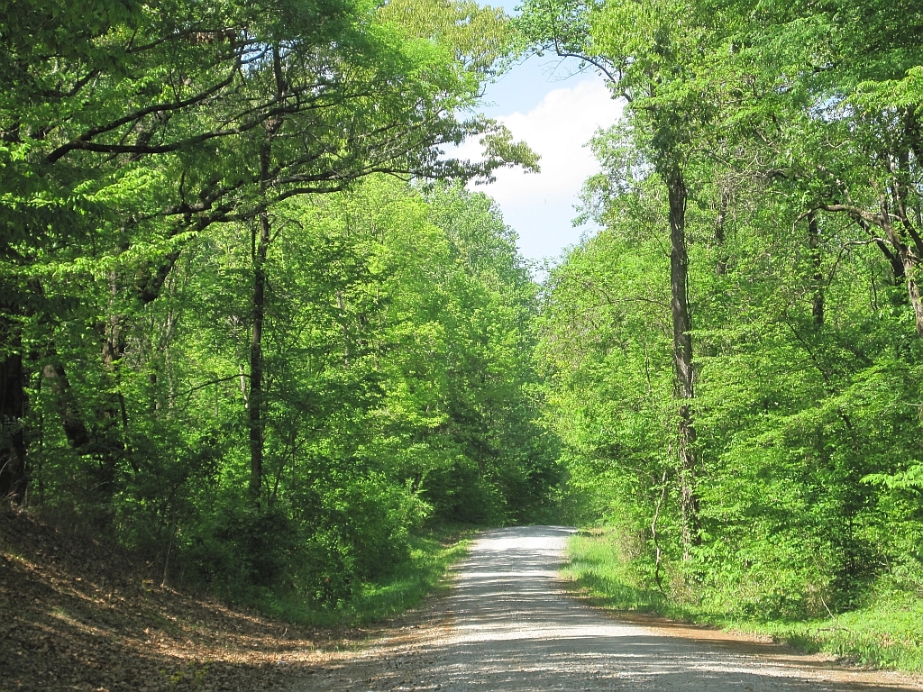 Your Guide To Staying In A Yurt In Chester, Arkansas, USA | Trip101