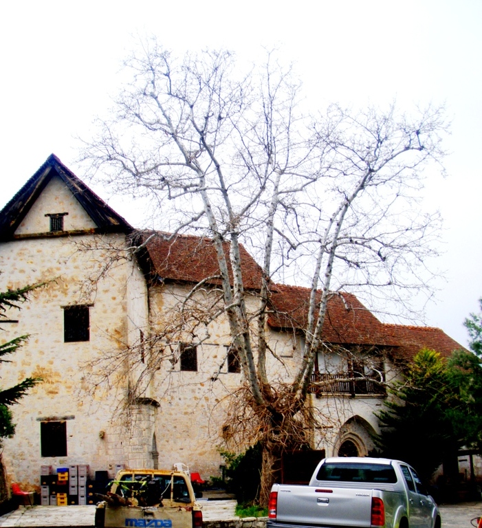 12 Must-Visit Monasteries In Cyprus | Trip101