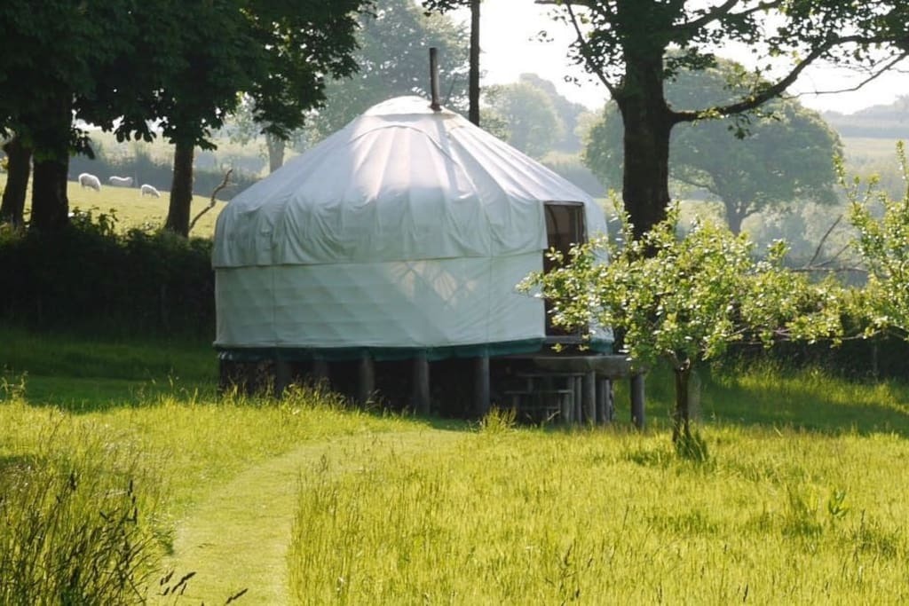 Top 13 Yurts In Cornwall, England - Updated 2024 | Trip101