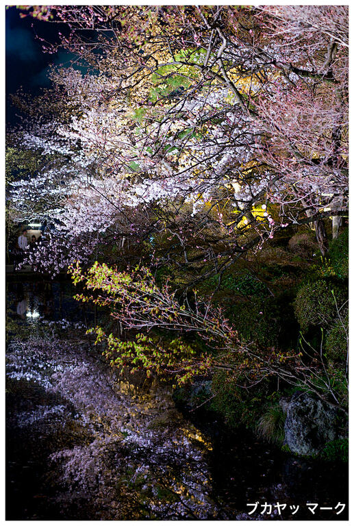 12 Things To Do In Kyoto, Japan, At Night - Updated 2025 | Trip101