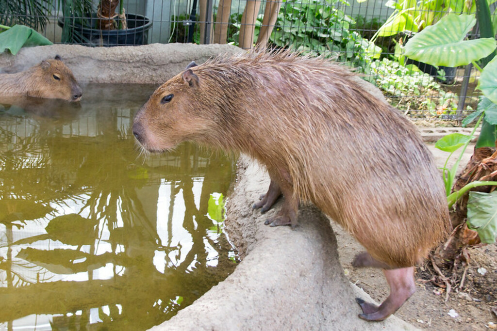 Top 25 Things To Do In Kobe, Hyogo, Japan - Updated 2025 | Trip101