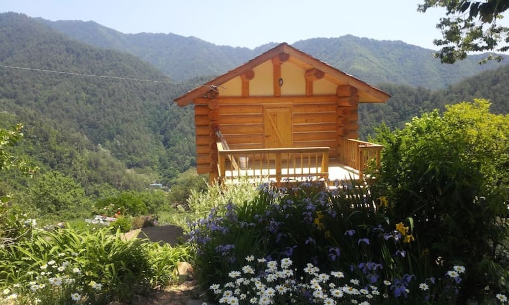 Top 11 Farm Stays In South Korea - Updated 2024 | Trip101