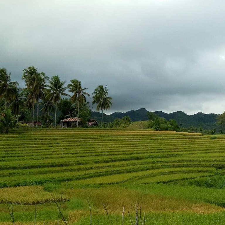 Top 30 Things To Do In Bohol, The Philippines | Trip101