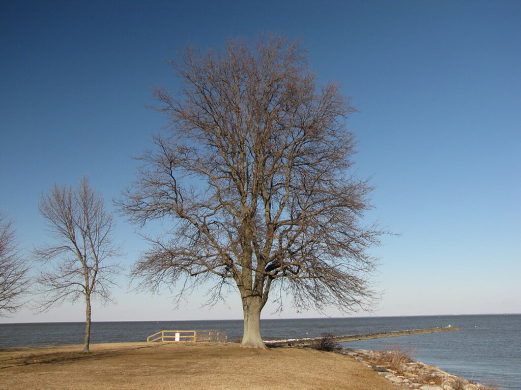 22 Best Day Trips From Baltimore, Maryland - Updated 2025 | Trip101