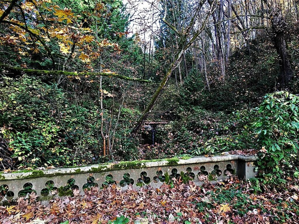 Top 9 Hiking And Trekking Spots In Seattle, Washington | Trip101