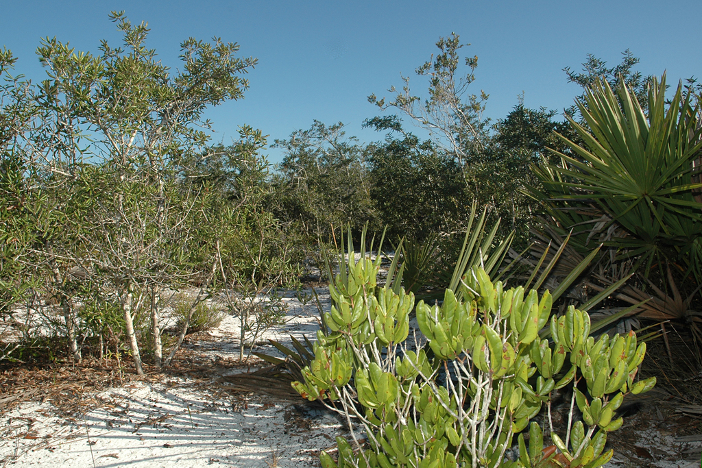 17 Things To Do In Lake Wales, Florida | Trip101