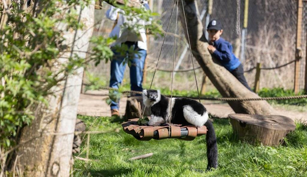 10 Best Homestays In Bristol, UK - Updated 2025 | Trip101