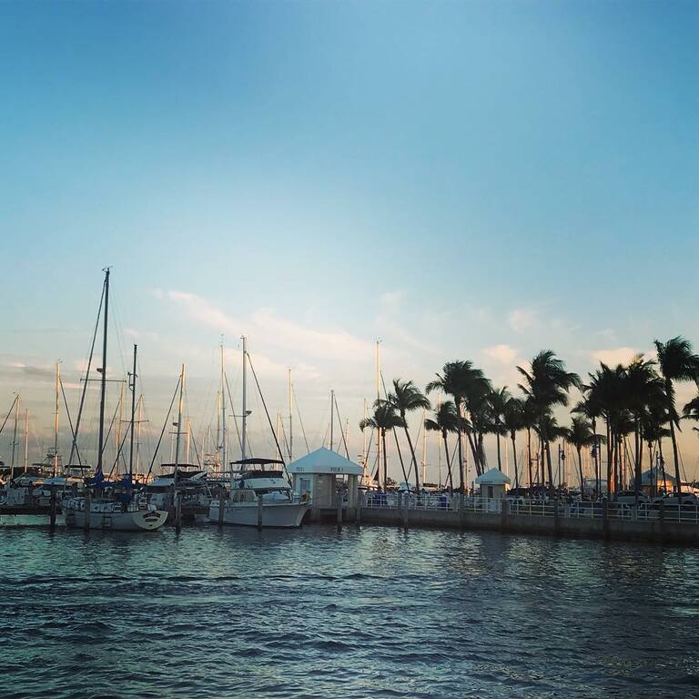 12 Restaurants With A View To Satisfy Every Foodie In Miami, Florida ...