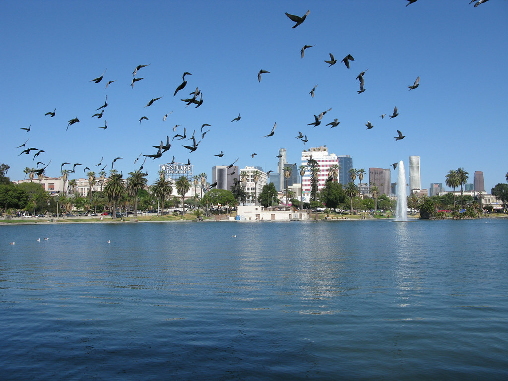 8 Beautiful Lakes In Los Angeles, California | Trip101