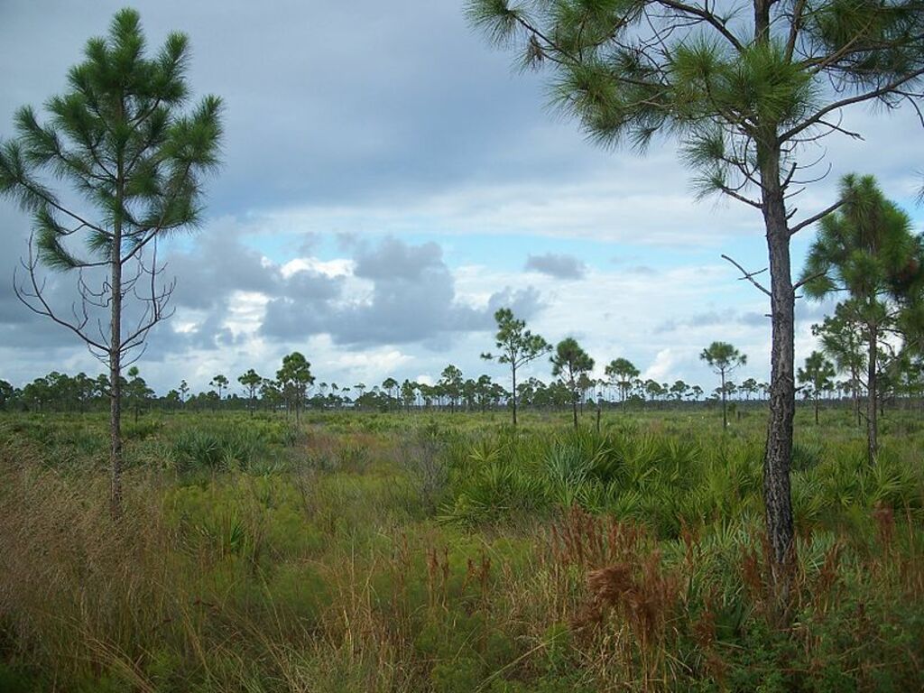 Top 21 Things To Do In Jensen Beach, Florida | Trip101