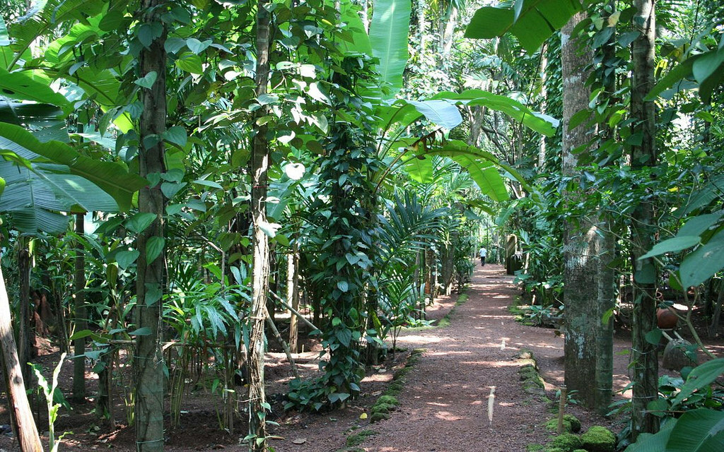 Top 12 Things To Do In Ponda, Goa: Experience The Verdure & Green Towns ...