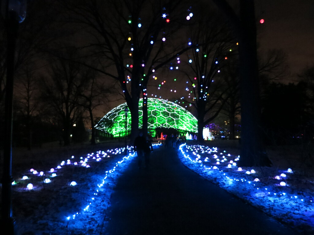 10 Best Things To Do At Christmas In St. Louis, Missouri | Trip101